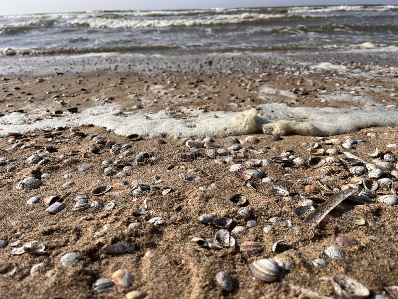 High tide is coming stock image. Image of beach, coast - 274742121