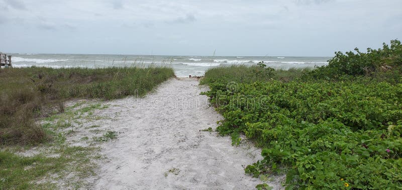 High Tide at Honeymoon Island, Florida Stock Photo - Image of marsh ...