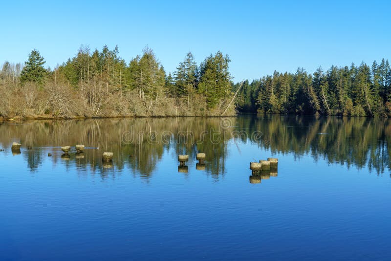 High Tide at Mud Bay stock image. Image of river, reflection - 91526549