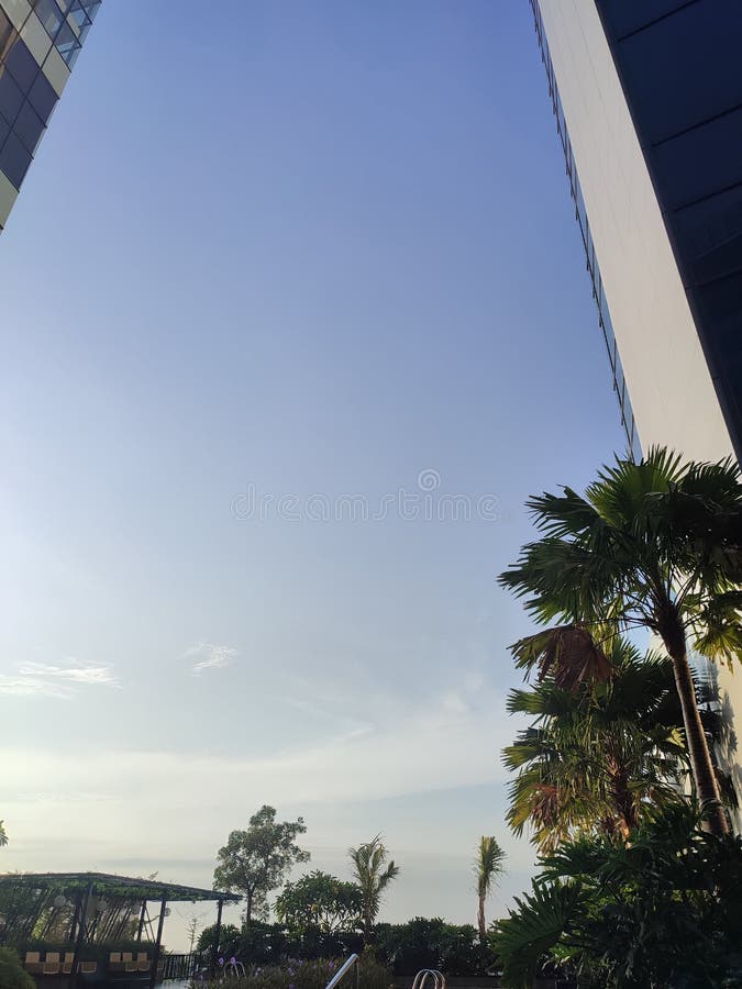 High Tower with Palm Tree in the Blue Morning Sky Stock Photo - Image ...
