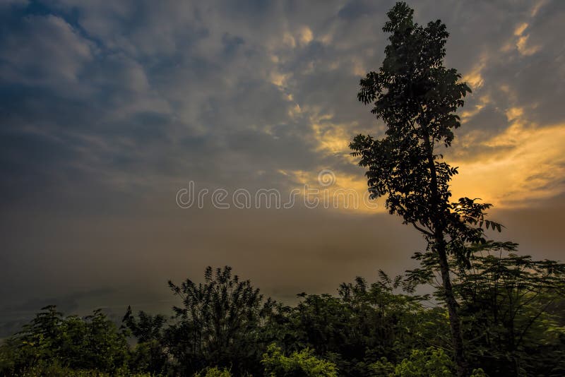 High tree stock photo. Image of longexposure, clouds - 93996154
