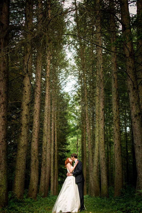 High Trees and Kiss of the Married Stock Photo - Image of modern ...