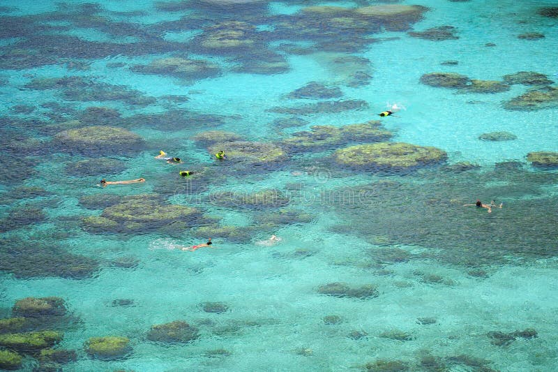 High View of Dive in Blue Sea Stock Image - Image of adventure ...