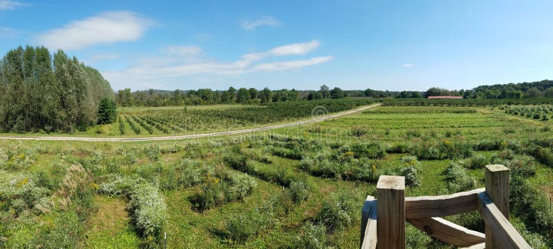 High view of farm land stock image. Image of field, pasture - 187319075