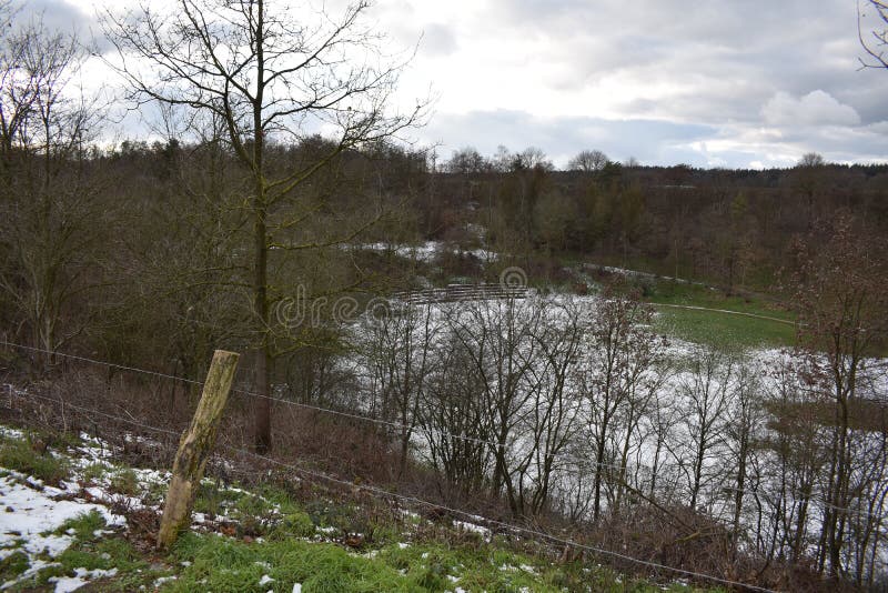 High View Over a Forest Grass Field 2 Stock Photo - Image of grass ...