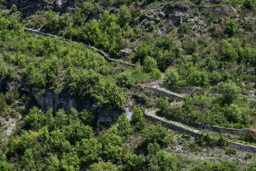 High View of a Stone Path in the Wilderness Stock Image - Image of wood ...