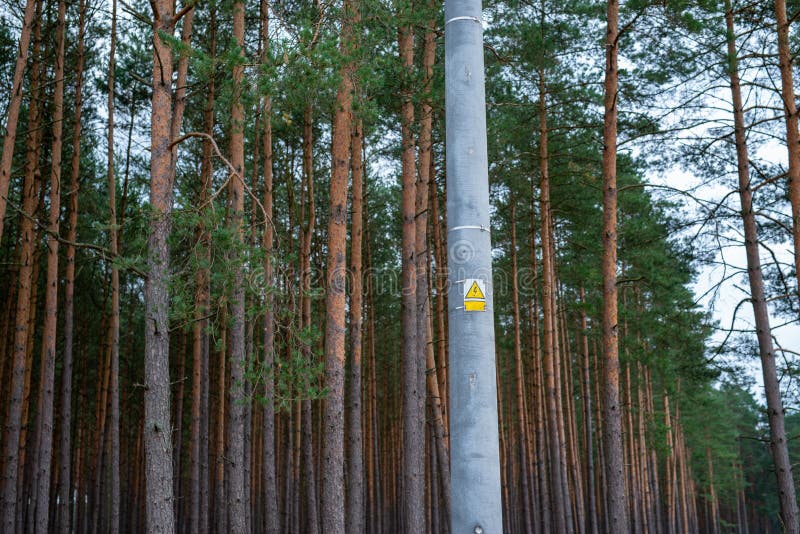 High Voltage Electric Pole in the Forest Stock Image - Image of ...