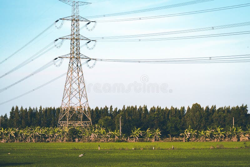High Voltage Electrical Pole from Electricity Distribution Station at ...