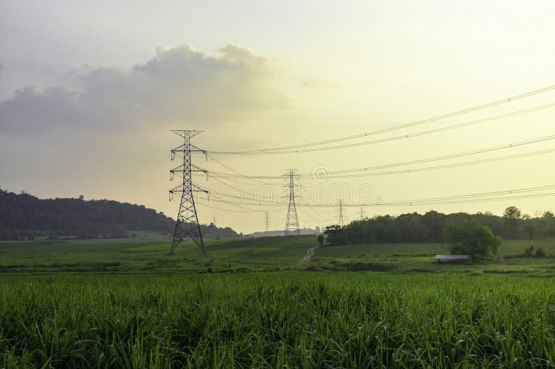 High Voltage Electricity Distribution Pole with Trees Shadow at Sunset ...