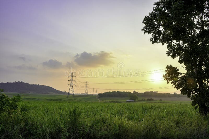 High Voltage Electricity Distribution Pole with Trees Shadow at Sunset ...