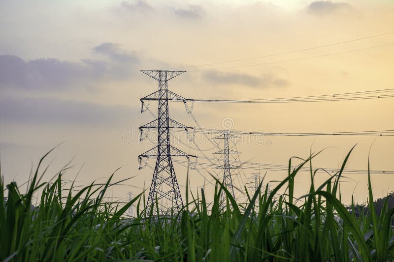 High Voltage Electricity Distribution Pole with Trees Shadow at Sunset ...