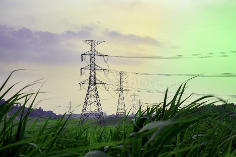 High Voltage Electricity Distribution Pole with Trees Shadow at Sunset ...