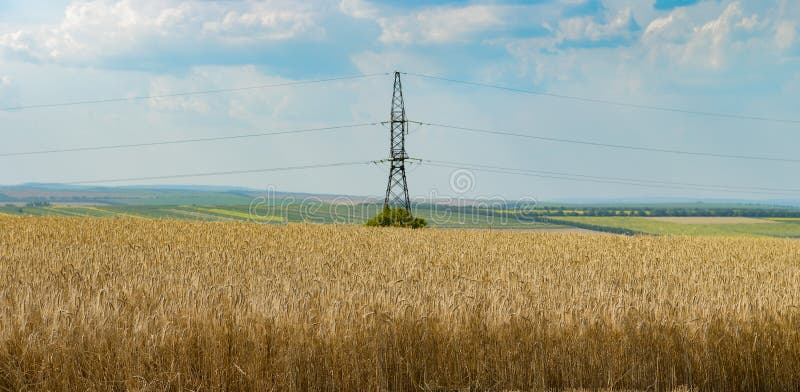 High Voltage Power Line on Field and Bright Blue Sky Stock Photo ...