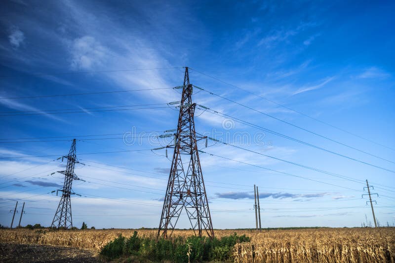 High Voltage Power Line in the Middle of a Corn Field Stock Image ...