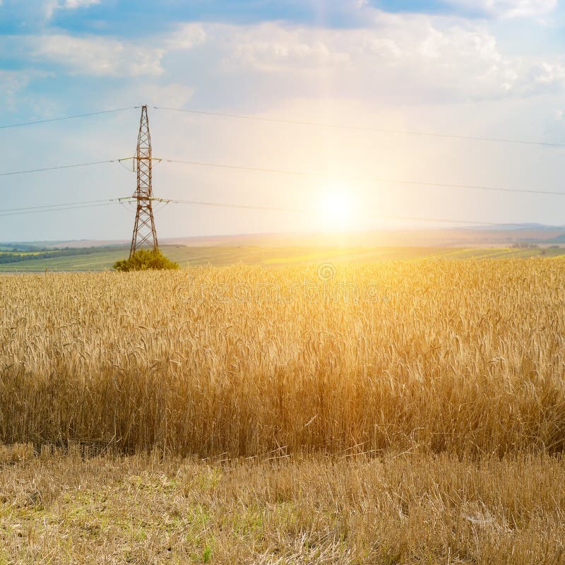 High Voltage Power Line Over Wheat Field and Bright Sunrise Stock Photo ...