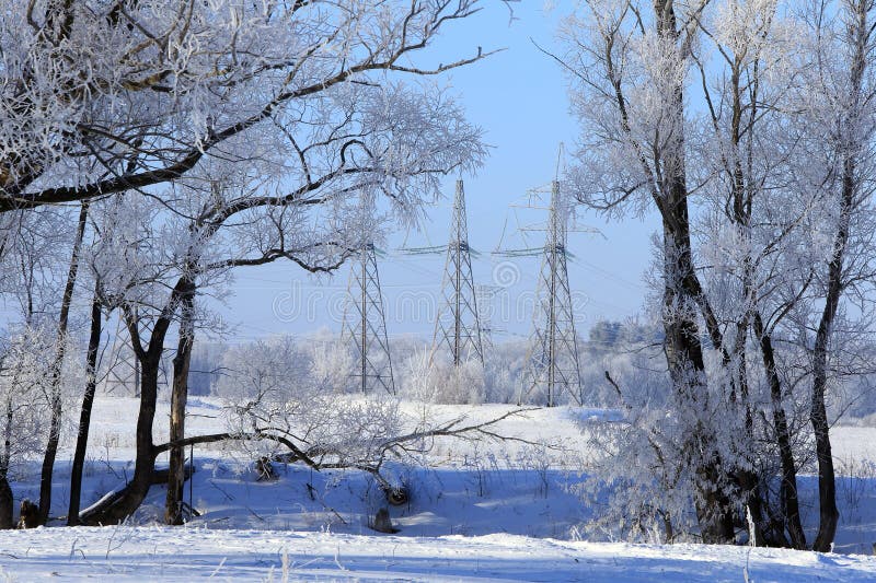 High-voltage Power Line in a Snowy Forest Stock Photo - Image of ...