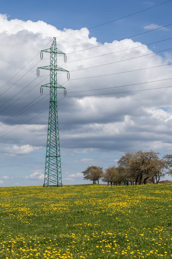 High Voltage Power Lines Above Spring Meadow. Electricity Poles Stock ...