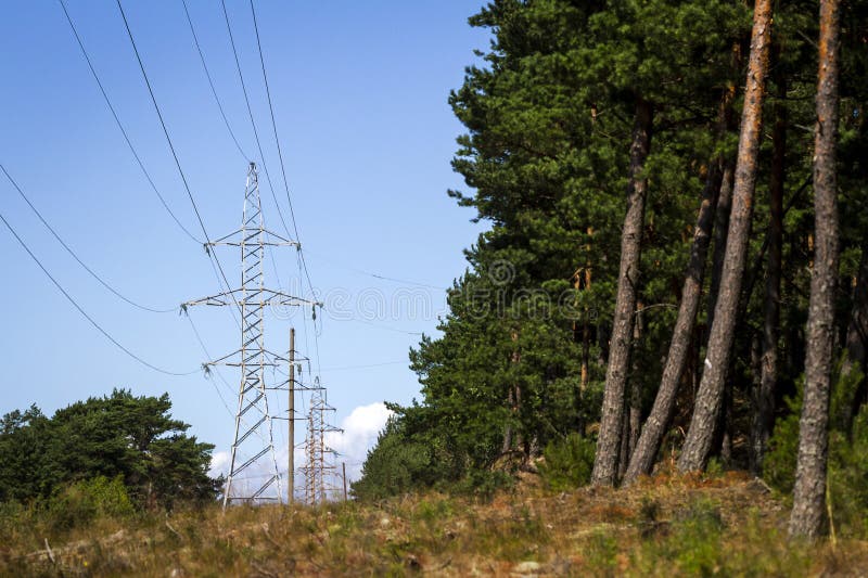 High Voltage Power Lines Going through the Forest Stock Photo - Image ...