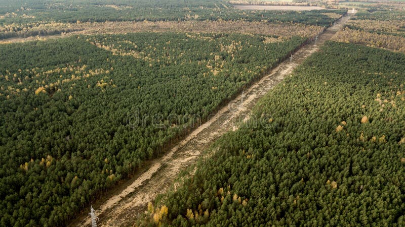 Logging in the forest stock image. Image of felling, paper - 717487