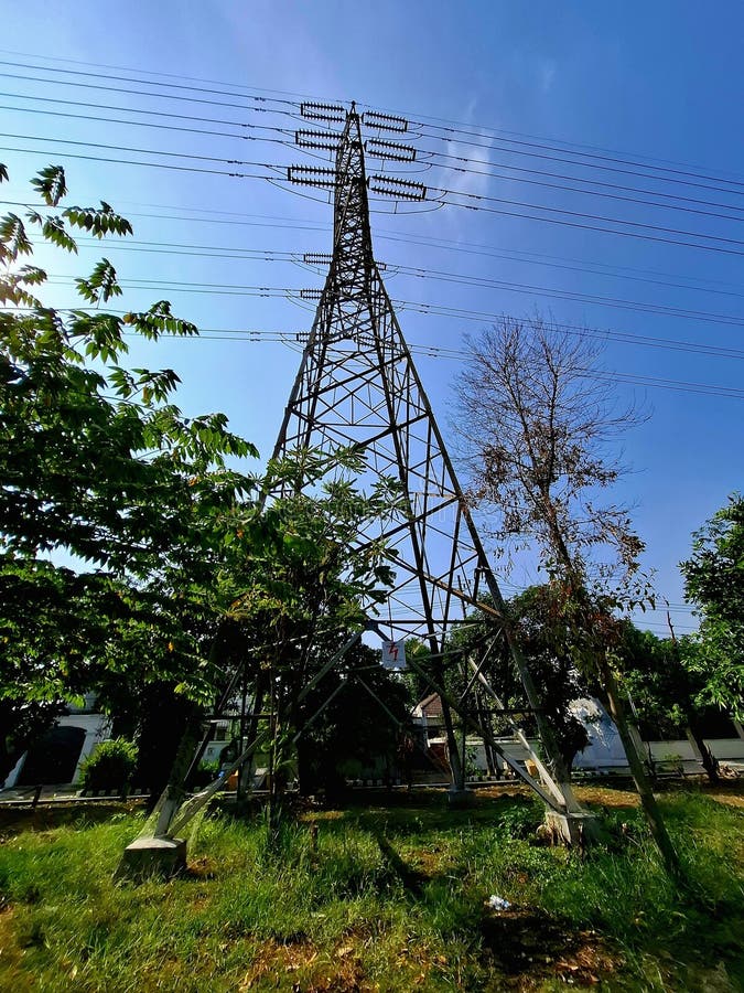 High-voltage Power Towers among the Trees. Stock Image - Image of ...