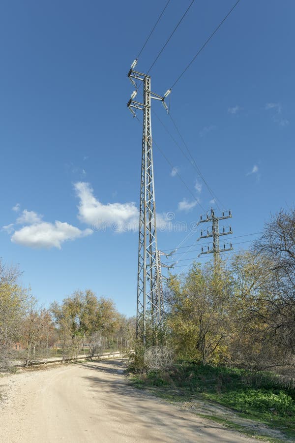 High Voltage Pylons Carrying Cables in the Middle of a Forest Next To a ...