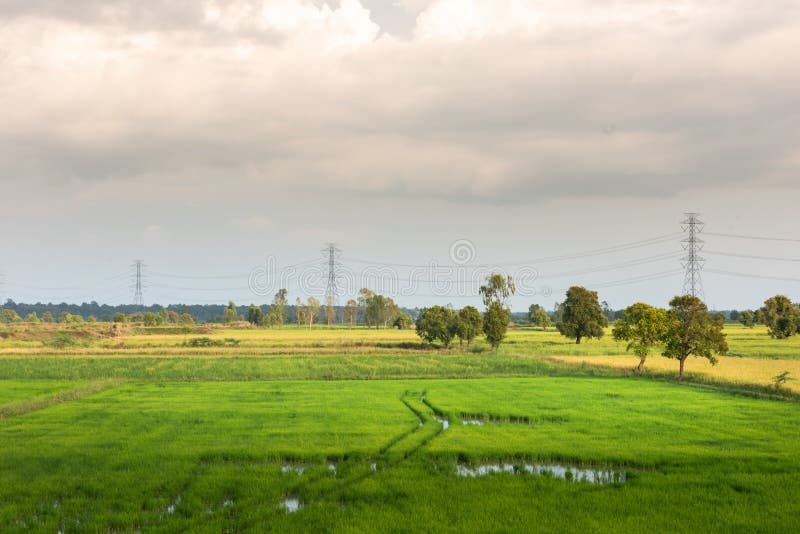 596 Tower Rice Field Agriculture Stock Photos - Free & Royalty-Free ...