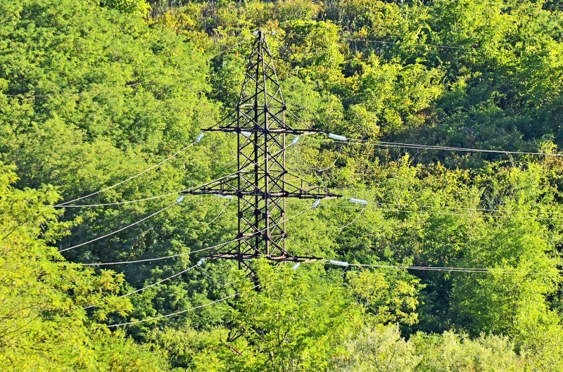 High Voltage Transmission Line in Forest Stock Photo - Image of high ...