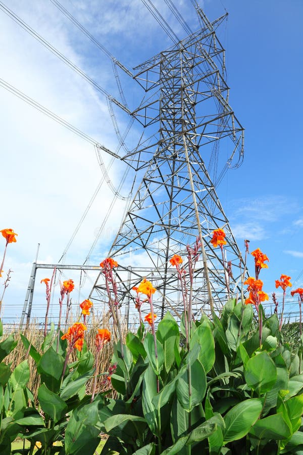 A high-voltage wire tower stock photo. Image of electric - 27174906
