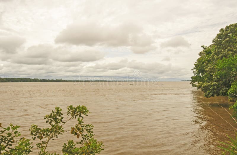 High Water on the Amazon stock photo. Image of peru, river - 30651244