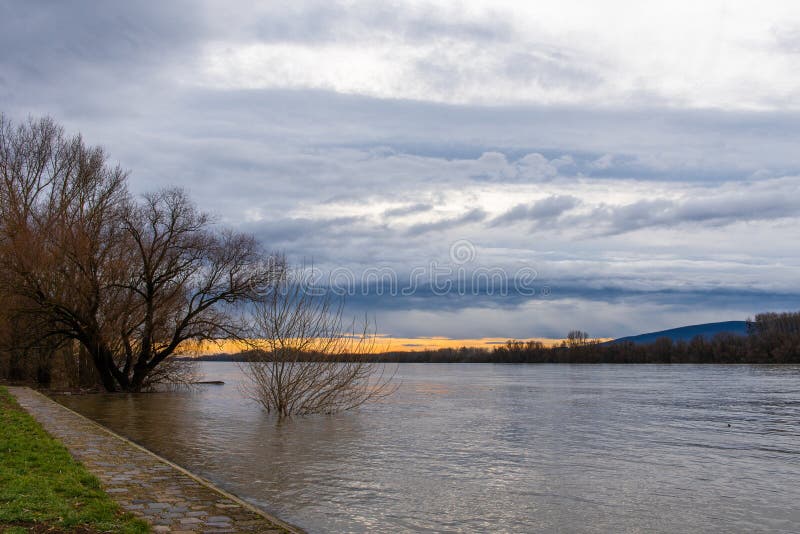High Water Level in the River during a Flood. Trees in the Water Stock ...
