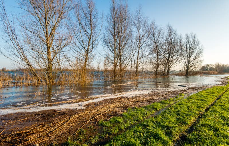 High Water Level in the River Stock Image - Image of landscape, europe ...