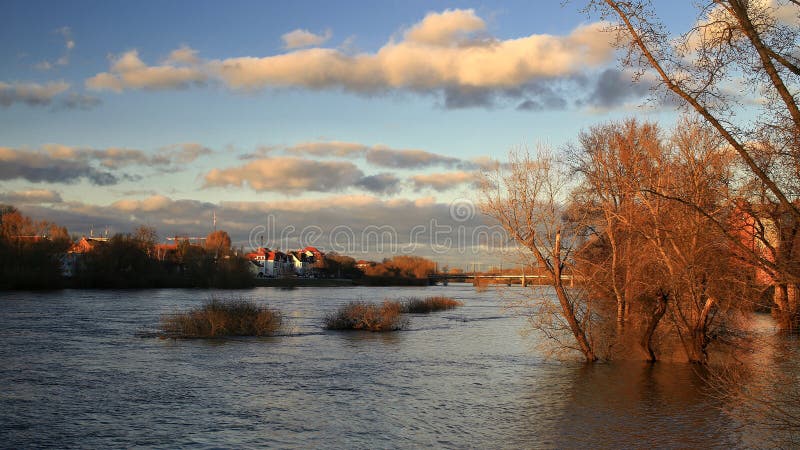 High Water Levels of the River Elbe in Magdeburg, Germany Stock Image ...