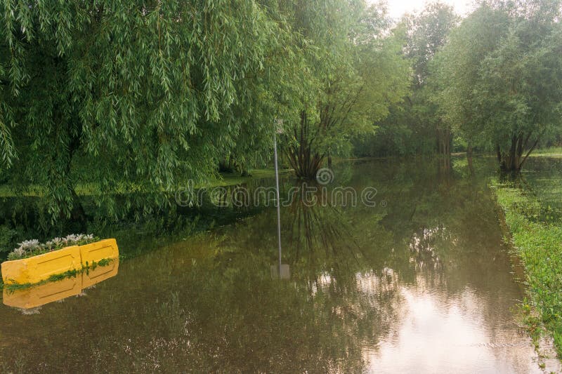 High Water in the Park after Heavy Rains Stock Image - Image of forest ...