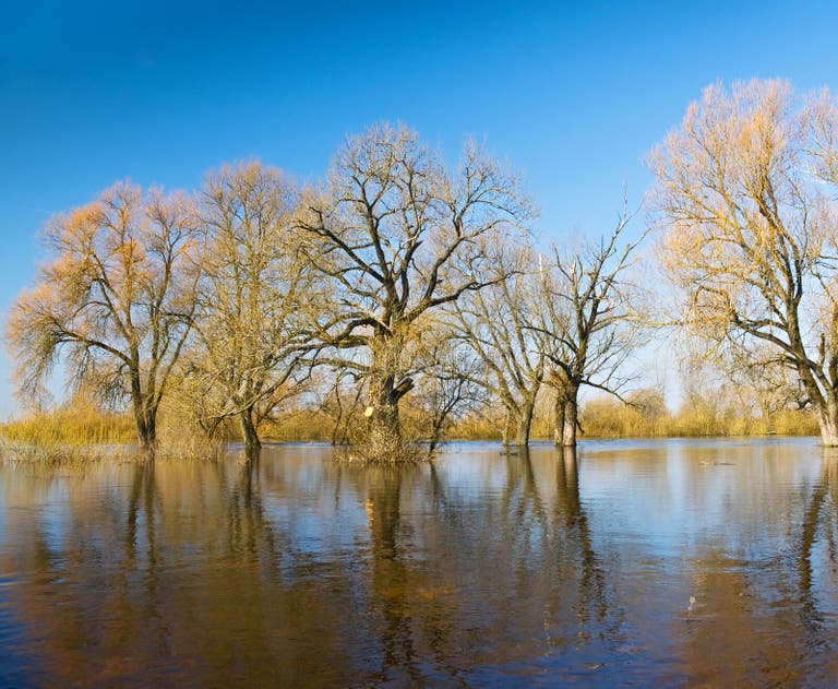High water on river stock photo. Image of stream, lake - 32894172