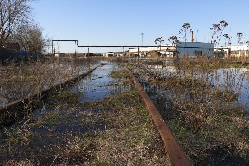 High Water on a River or on a Lake in Sunny Spring Day Stock Image ...