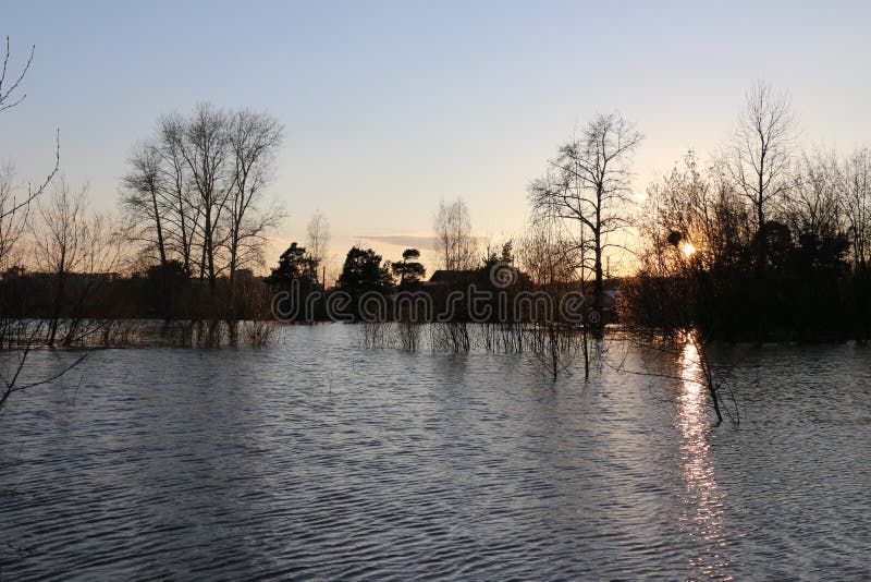 High Water on a River or on a Lake in Sunny Spring Day Stock Image ...