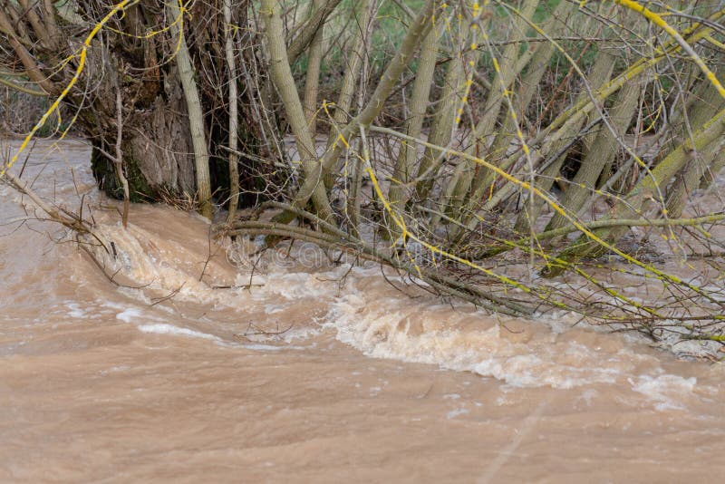 High Water of a Small River Stock Image - Image of destruction, season ...