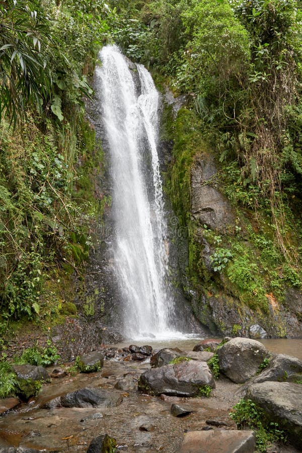 High Waterfall Base Full of Rocks Stock Photo - Image of rock, forest ...