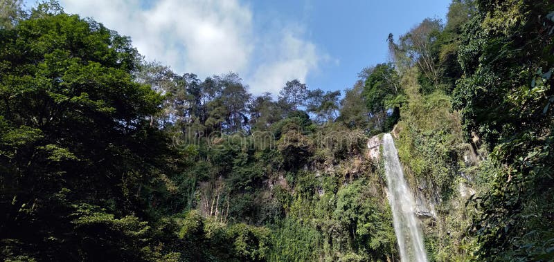 High Waterfall and Beautiful between Trees Stock Image - Image of ...