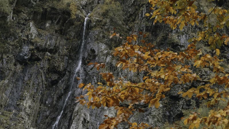 High Waterfall Flows Down Cliff in Autumn Forest. Creative Stock Image ...