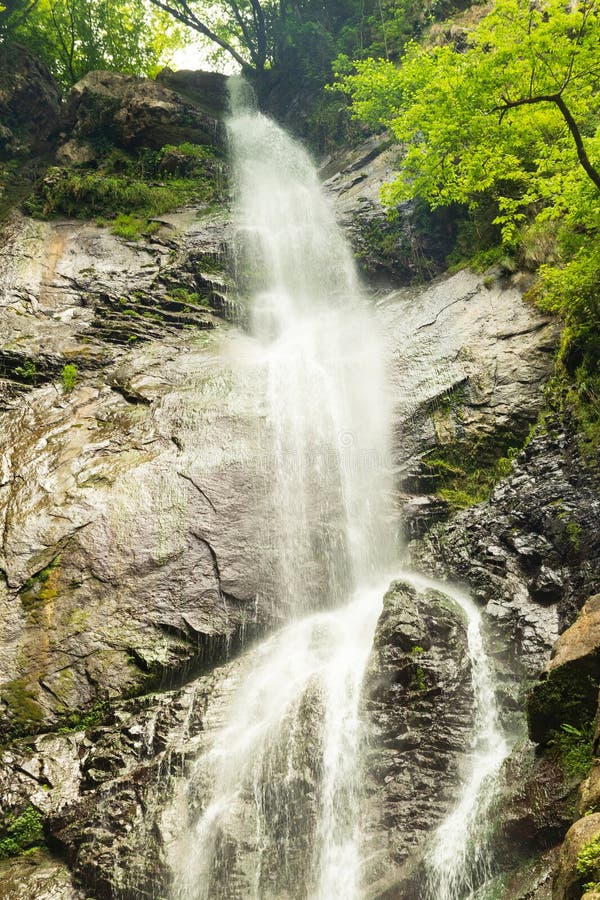 A High Waterfall in a Green Forest with Rocks Stock Image - Image of ...