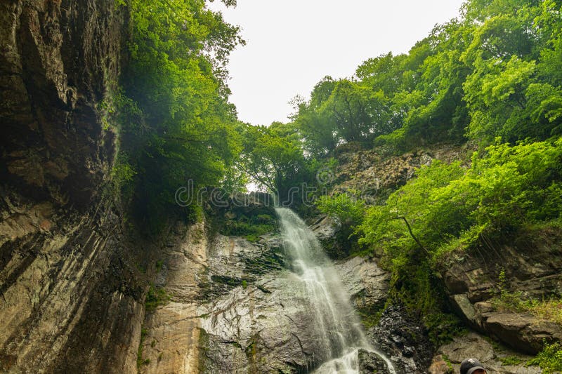 A High Waterfall in a Green Forest with Rocks Stock Photo - Image of ...