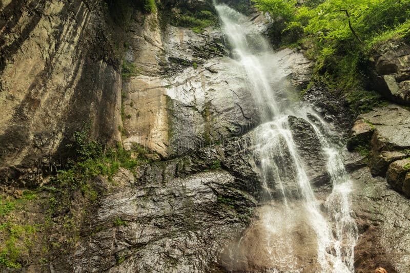 A High Waterfall in a Green Forest with Rocks Stock Photo - Image of ...