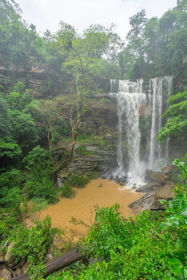 High Waterfall with Rock Layer in the Deep Forest Stock Photo - Image ...