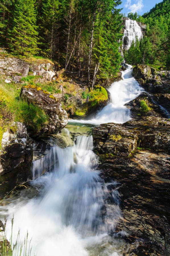 High Waterfall in the Summer Woods Stock Image - Image of northern ...