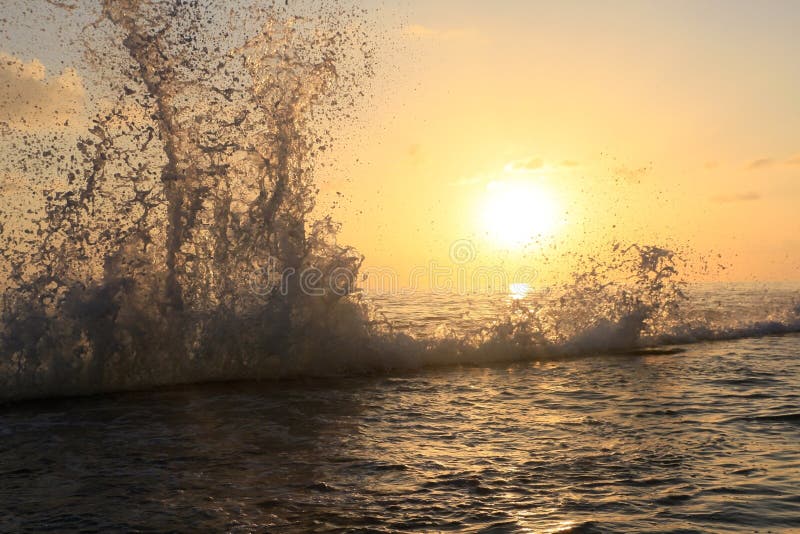 High Wave with Splashes in the Sea with Sunset. Stock Image - Image of ...