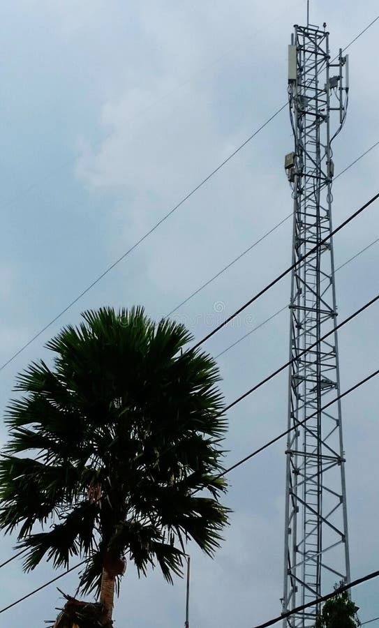 Tower and tree stock image. Image of tree, palm, wireless - 136216041