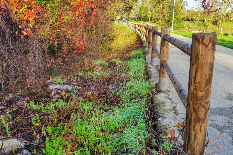 High Wooden Fence between the Forest and the Path Stock Photo - Image ...