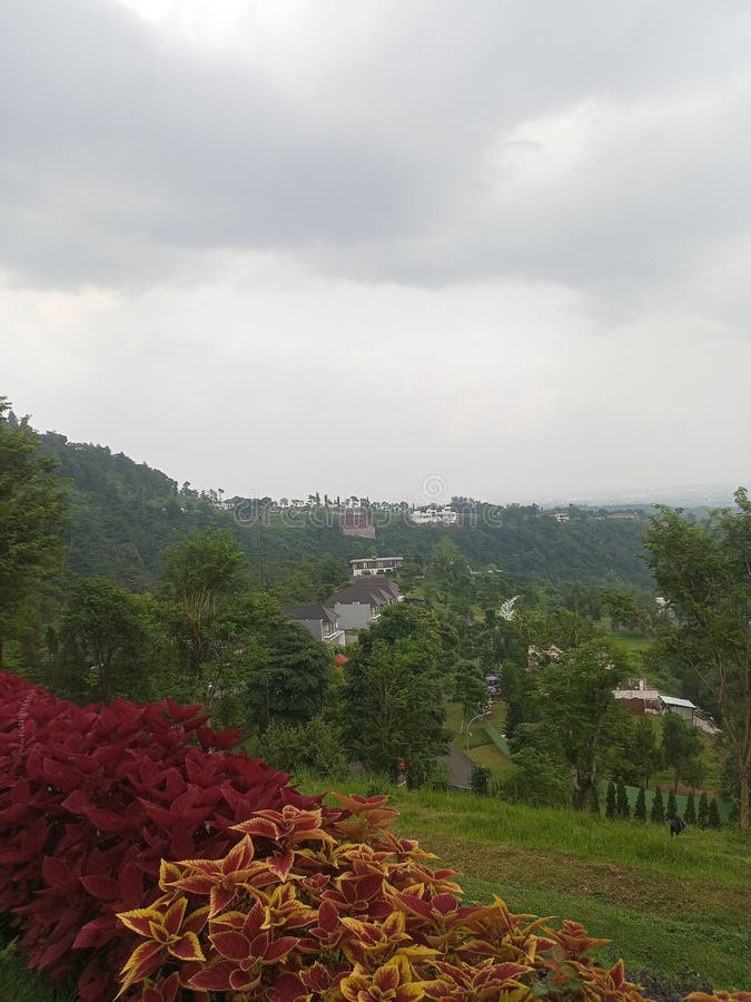 The Highest Land in Est Java Stock Image - Image of garden, valley ...