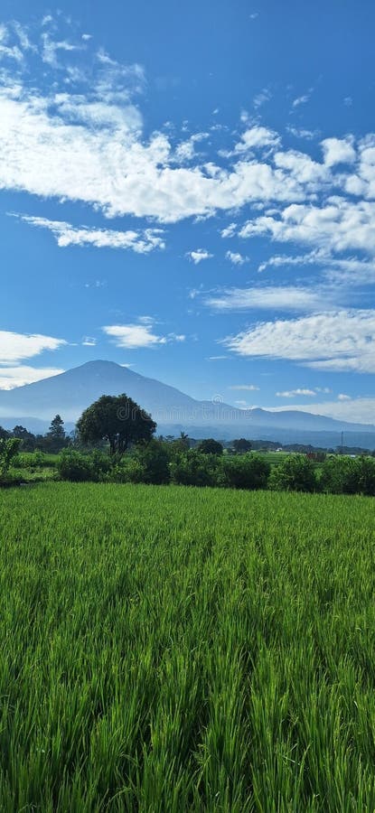 The Highest Mountain in West Java, Indonesia, Ciremai Stock Image ...